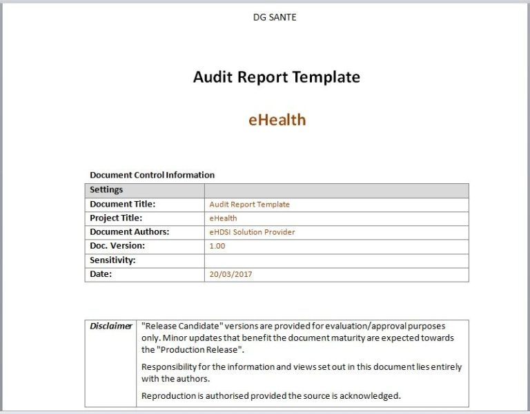 23 Free Audit Report Templates - Mike's Templates