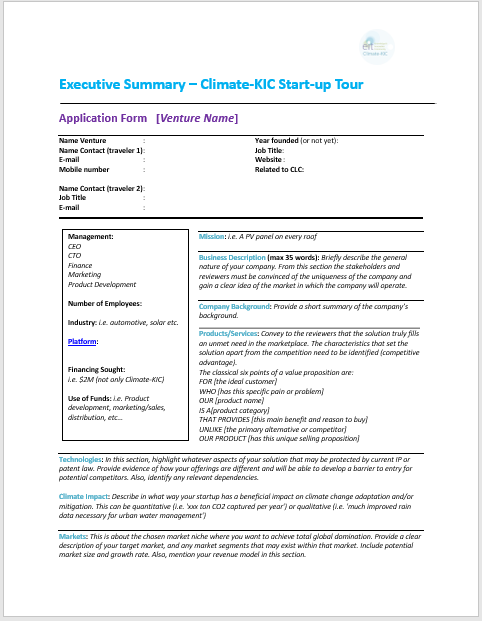 13 Free Executive Summary Templates - Mike's Templates