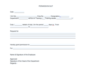 16 Free Permission Slip Templates - Mike's Templates